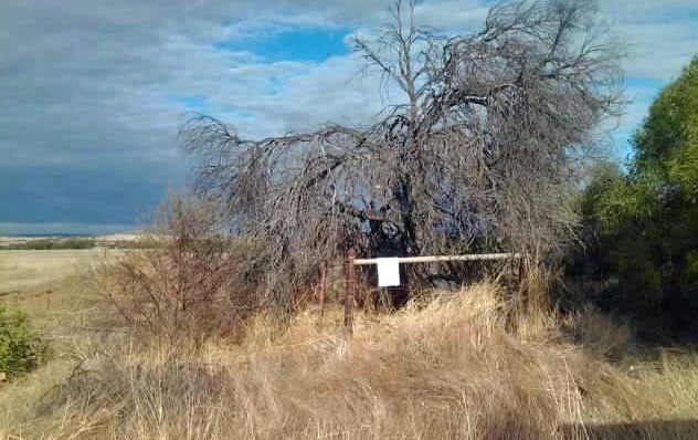 Karara Mining told to go the extra mile - ABC News