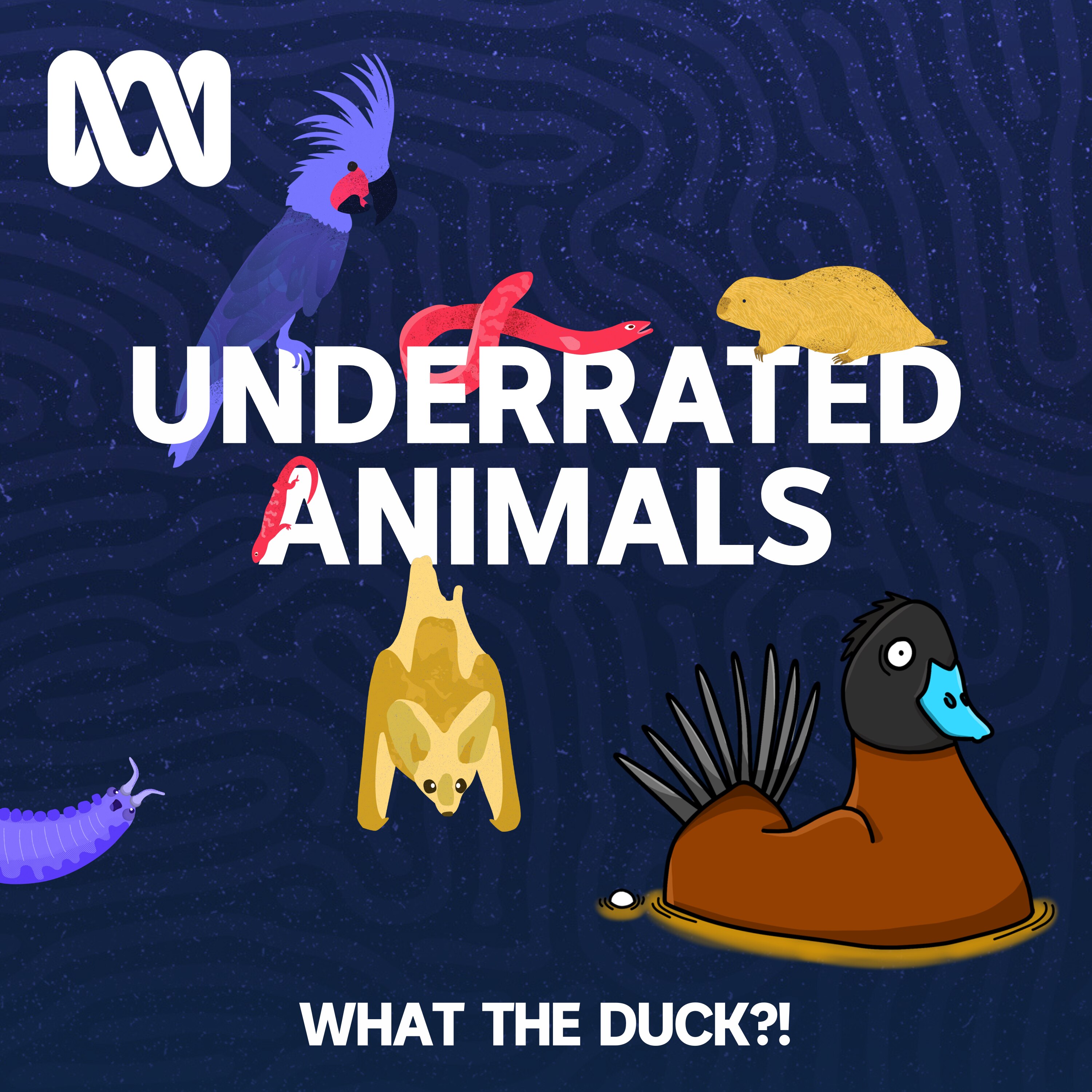 What The Duck?! with Ann Jones - ABC listen