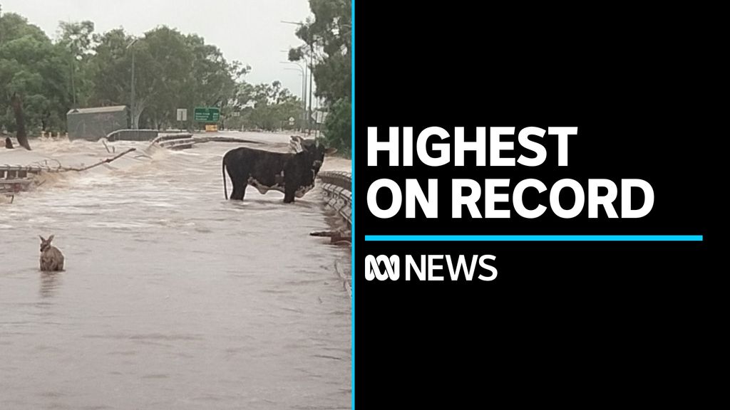 Fitzroy River reaching 'highest level on record' in WA floods - ABC News