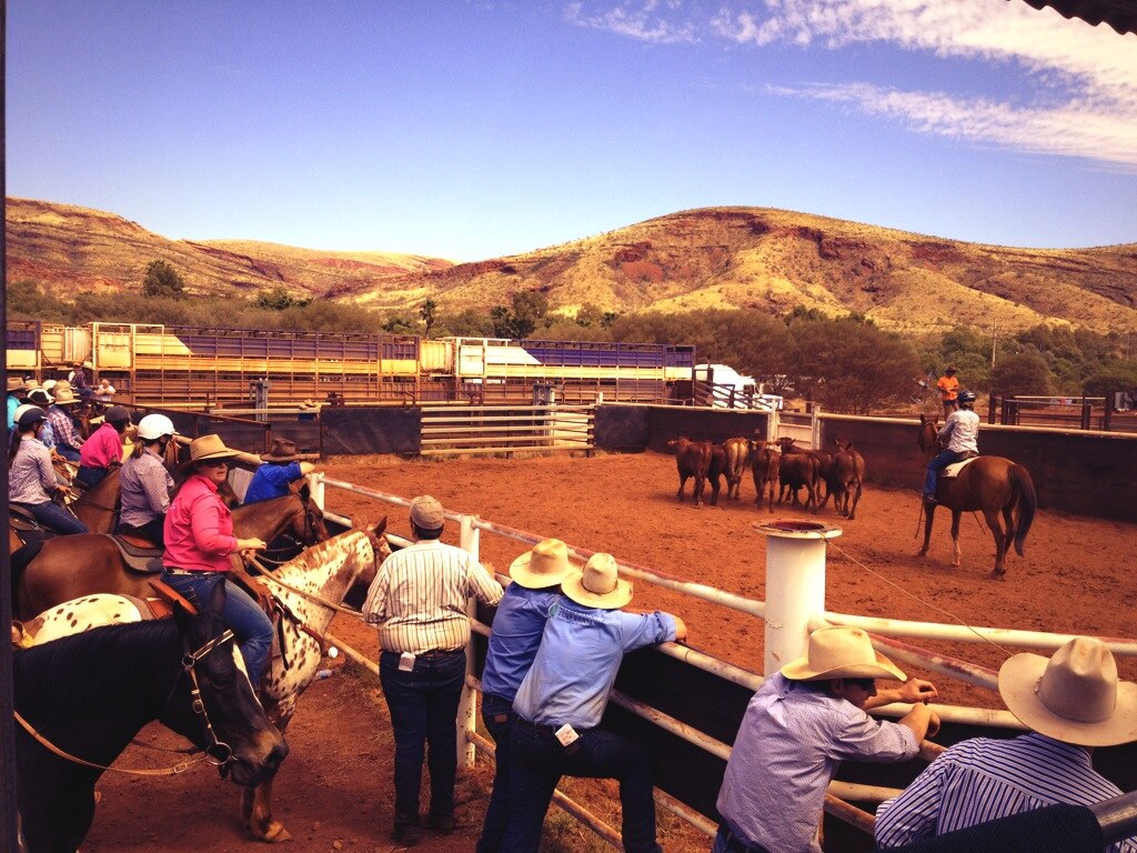 Tom Price campdraft draws riders from across WA - ABC News