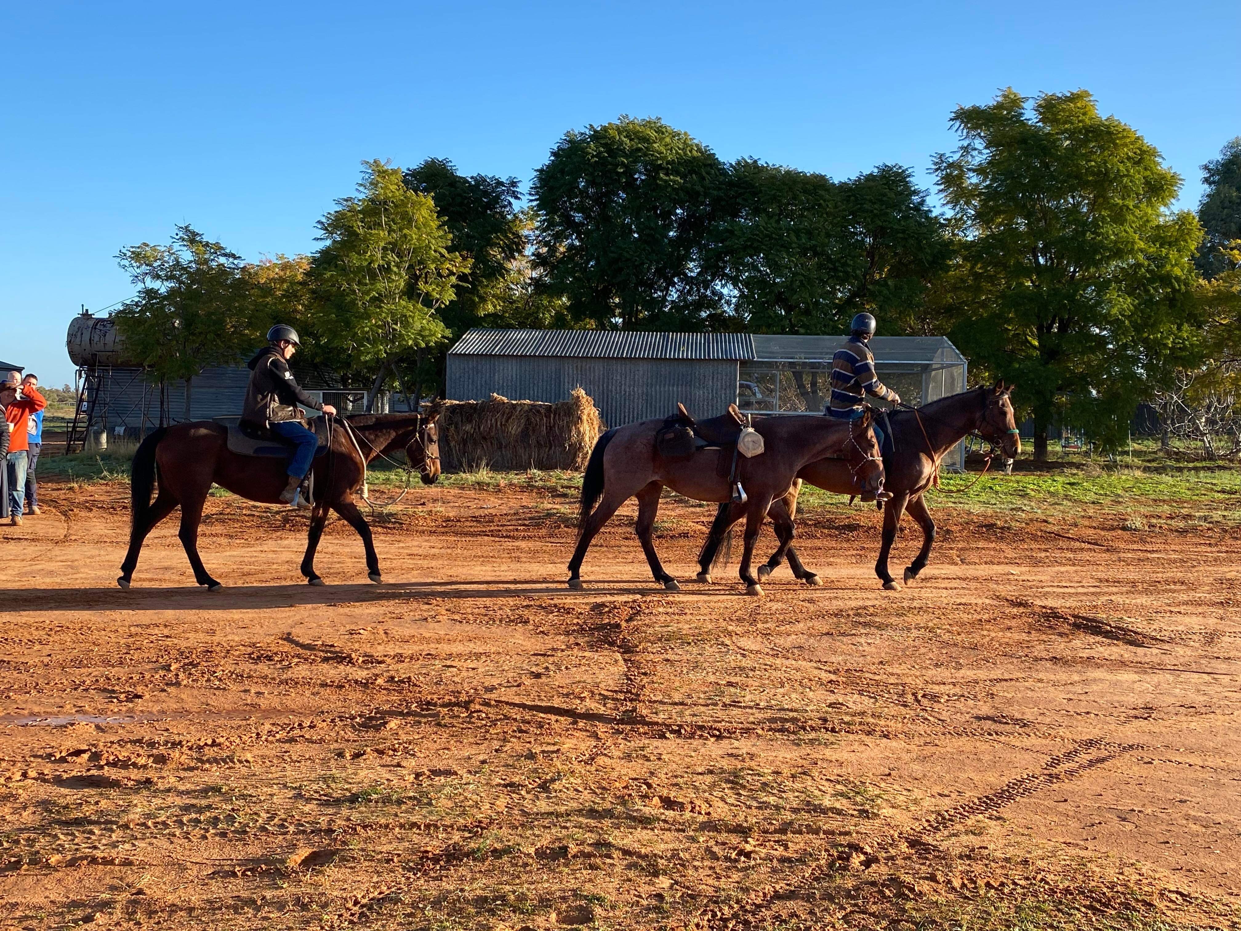 Josh Mercer - ABC News