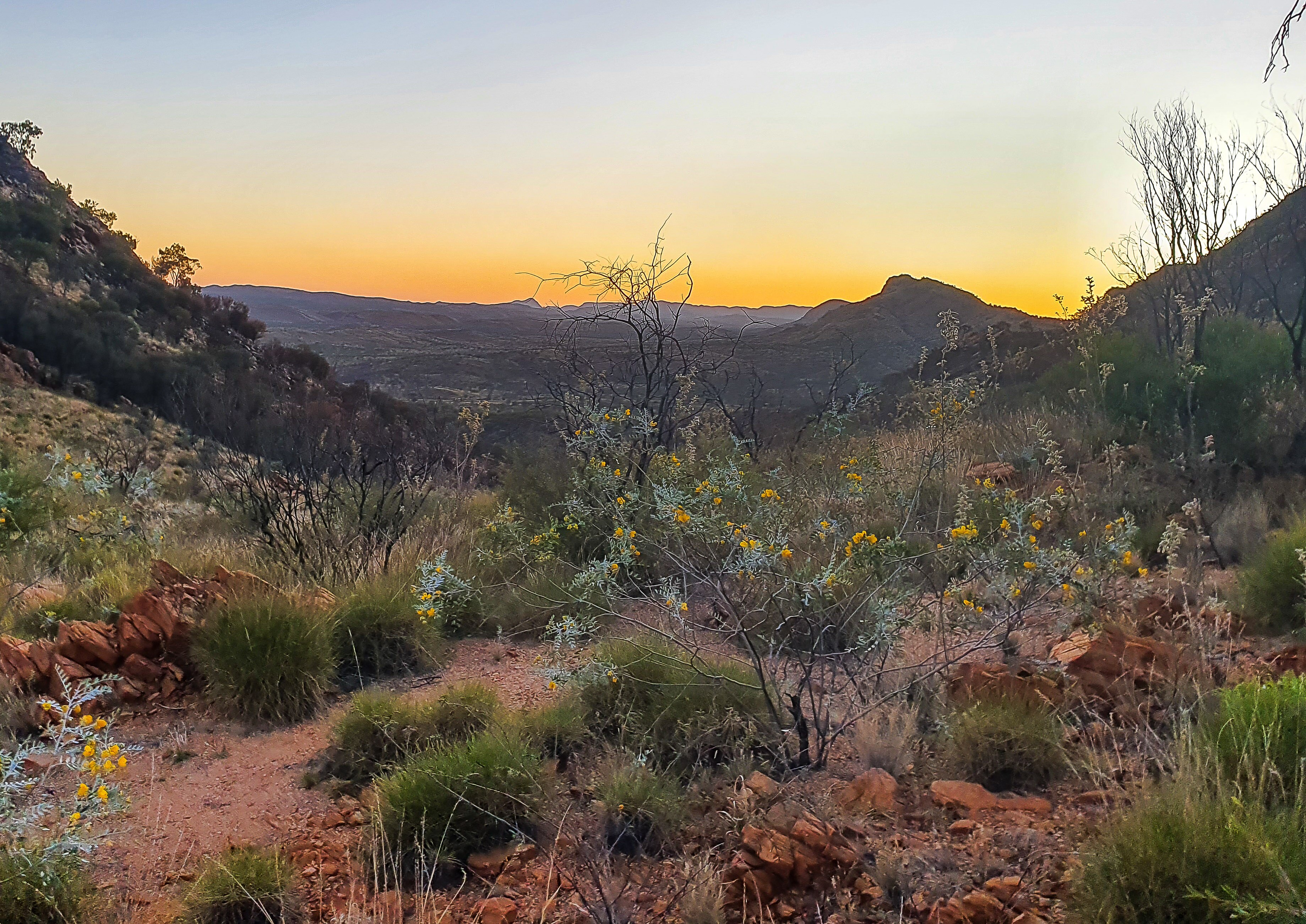 Ultramarathoner Piotr Babis beats outback Larapinta Trail record by ...