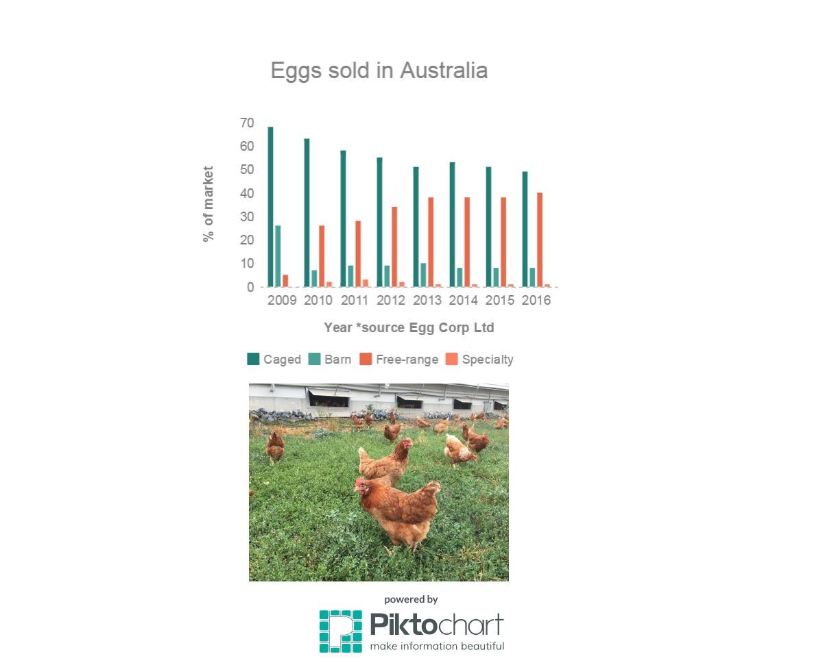 Caged egg sales trend lower as demand for free-range increases - ABC News