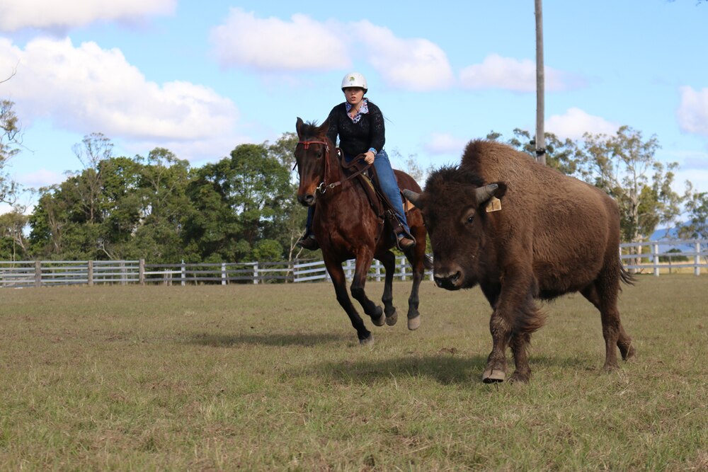 Rural Reporter - ABC listen