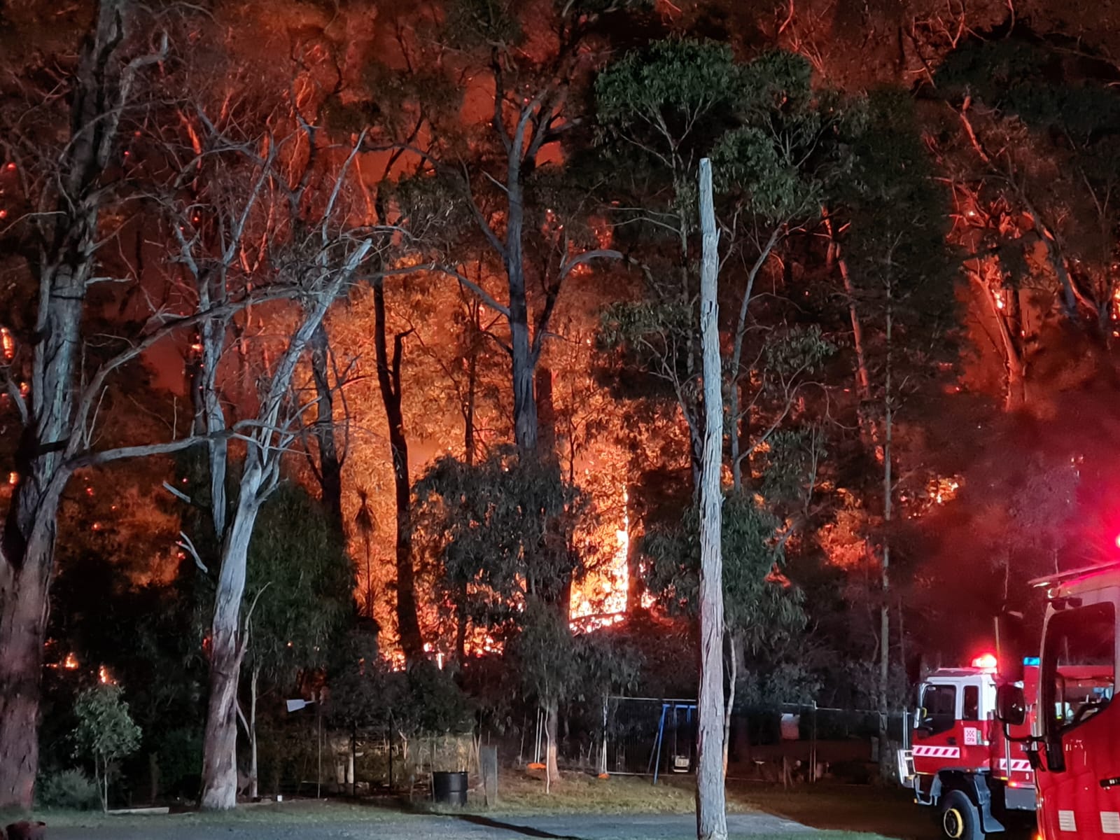 Montrose and Kilsyth bushfire brought under control as rain brings ...