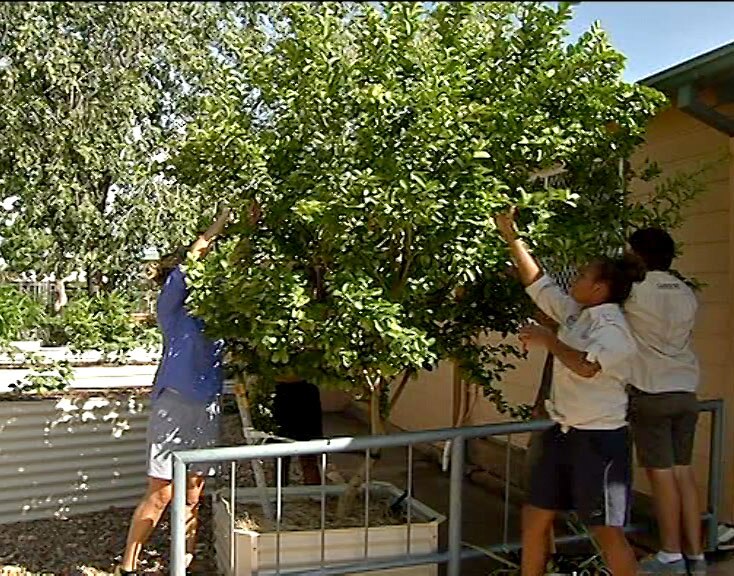 Students become bush rangers to learn environmental and survival skills ...