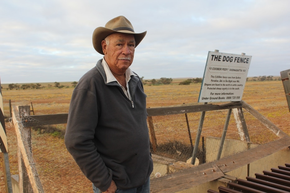 Fixing the world's longest fence - ABC News