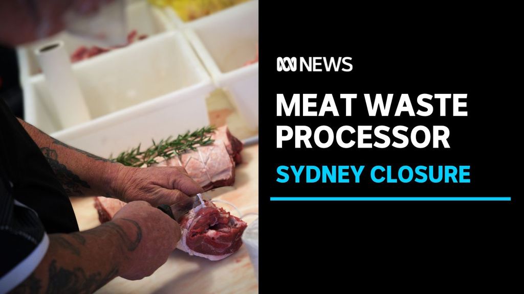 Recycling and Waste Management - Topic - ABC News