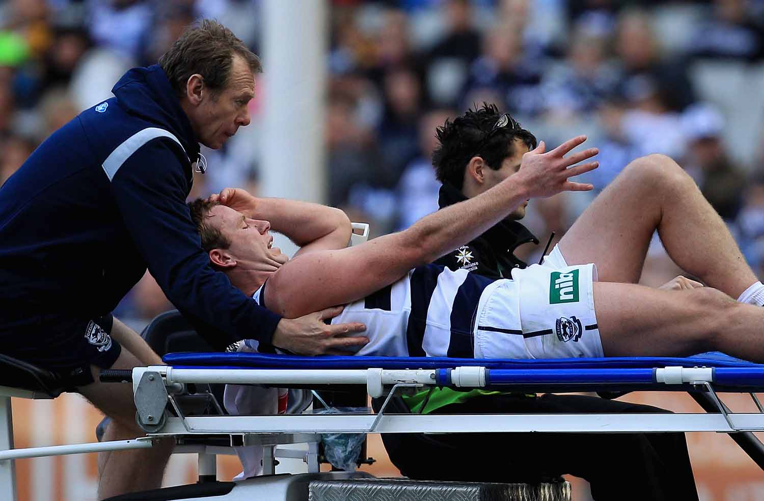 Cats sweat on X-factor Johnson - ABC News