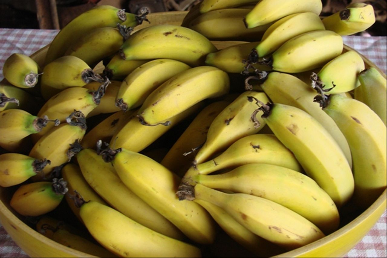 Parents say 'yes yes' to 'no no na na' banana campaign - ABC News