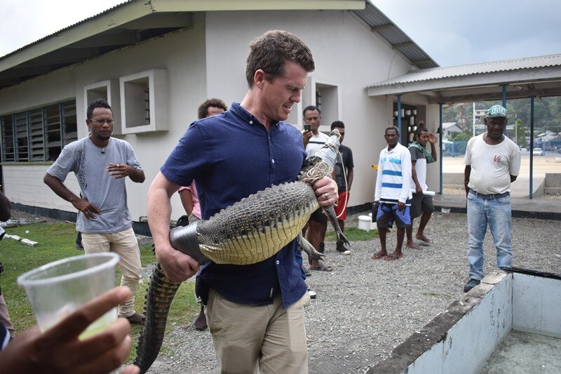 Solomon Islands launches survey of saltwater crocodile population - ABC ...