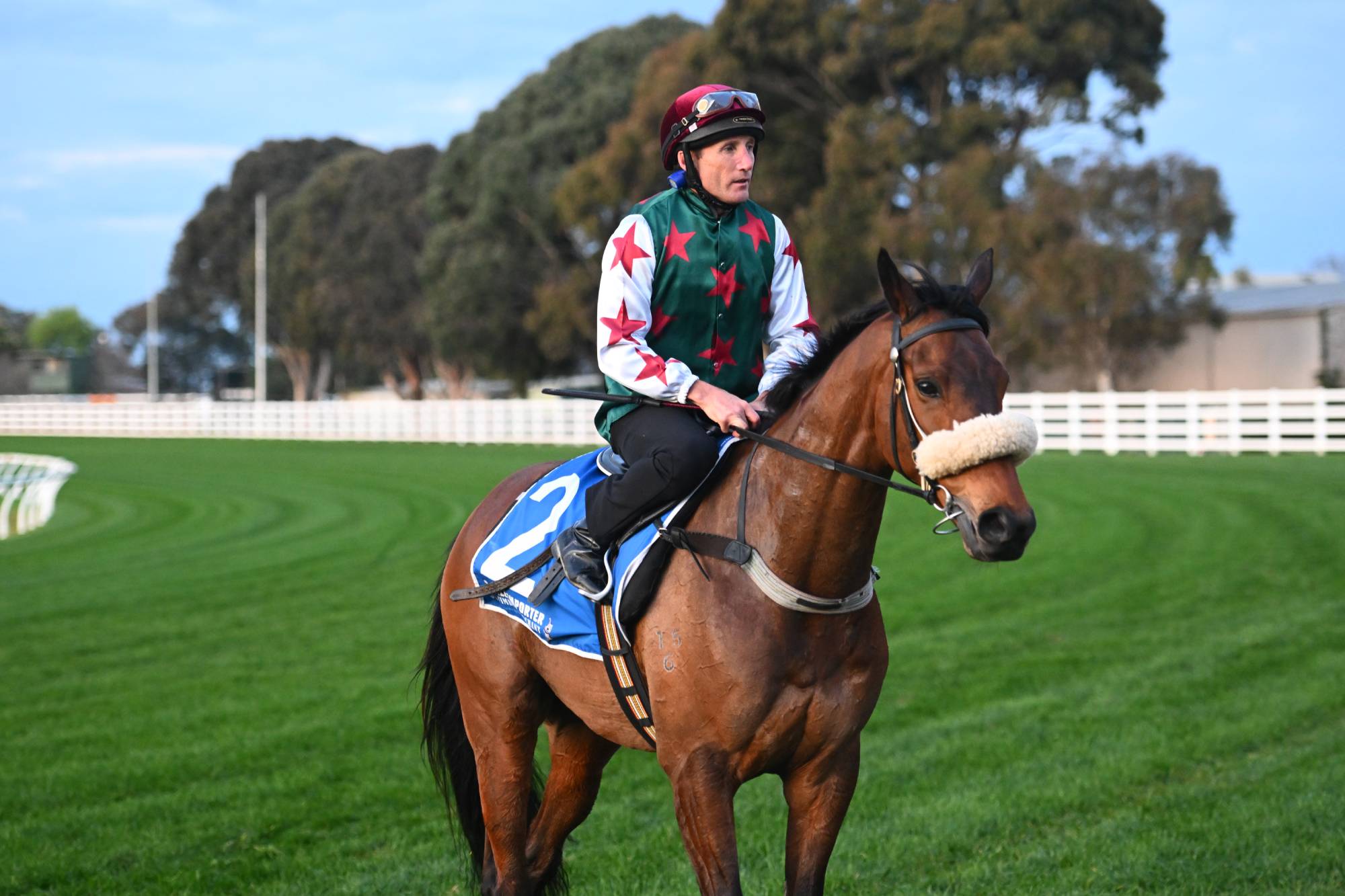 Melbourne Cup 2023 field, horses, form guide and finishing order - ABC News