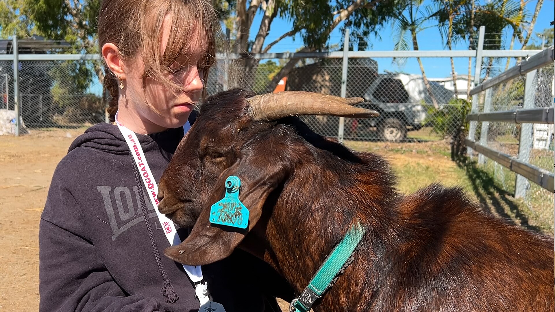 Goat Camp - Behind The News