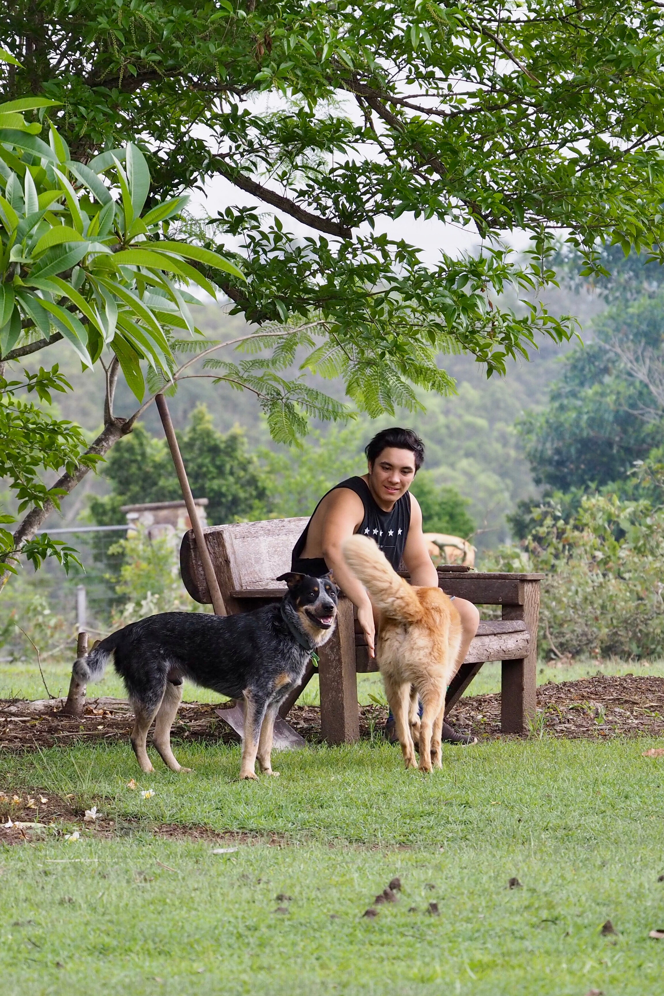 Parents of young man who died at a music festival hope coronial inquest ...