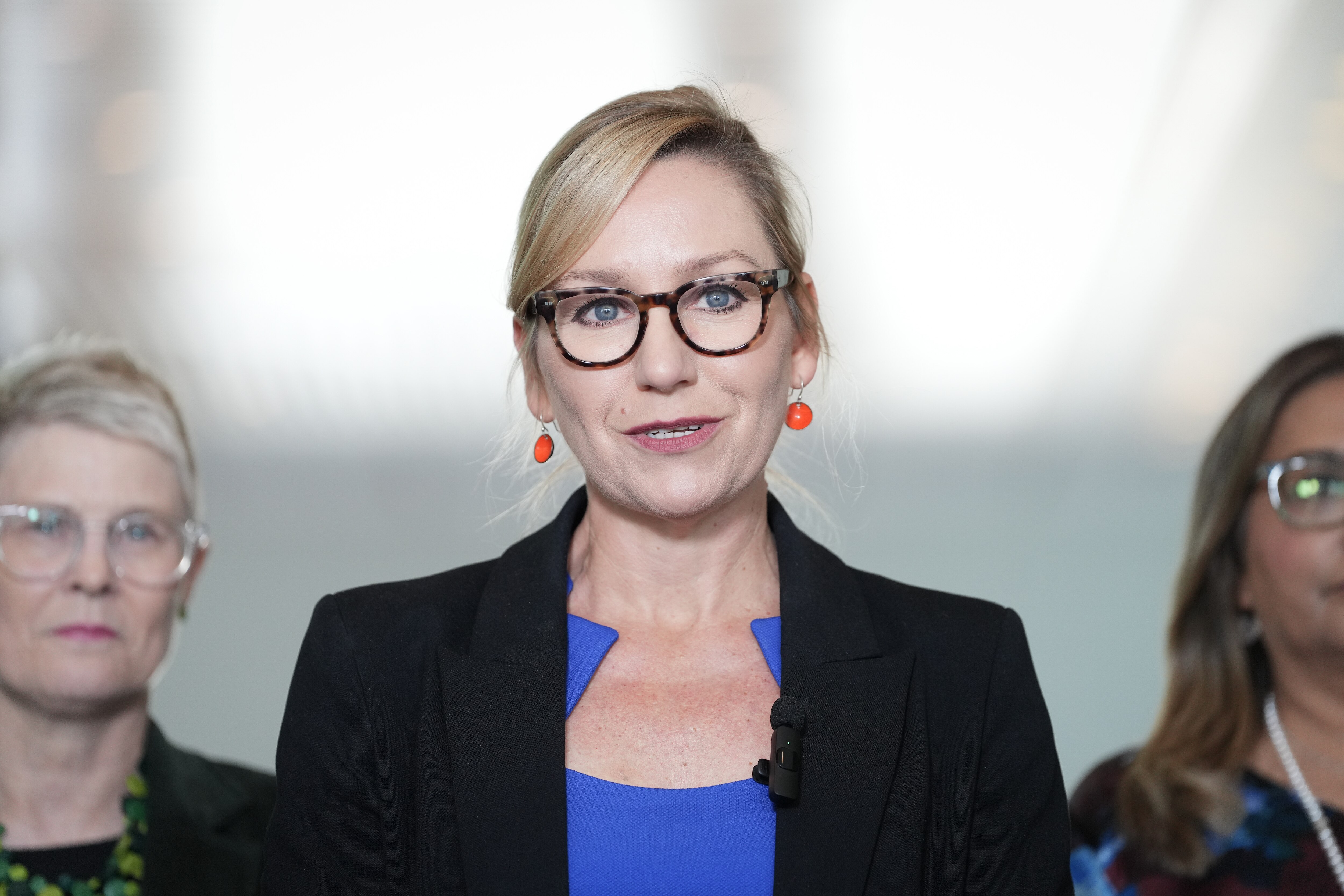 Greens won't support hate and gun law reform bill without changes - ABC ...