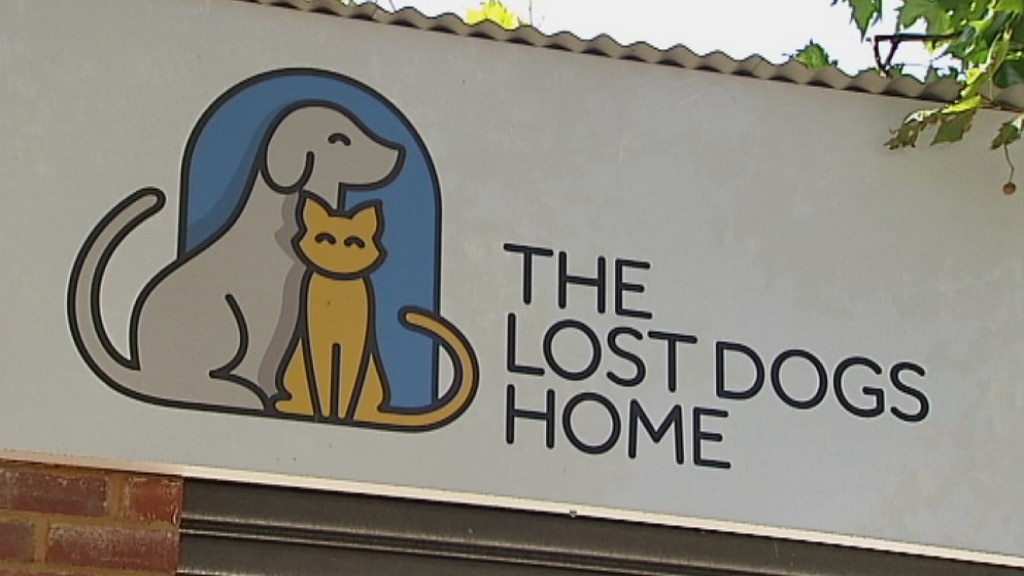 North Melbourne's Lost Dogs' Home in search of a new home - ABC listen