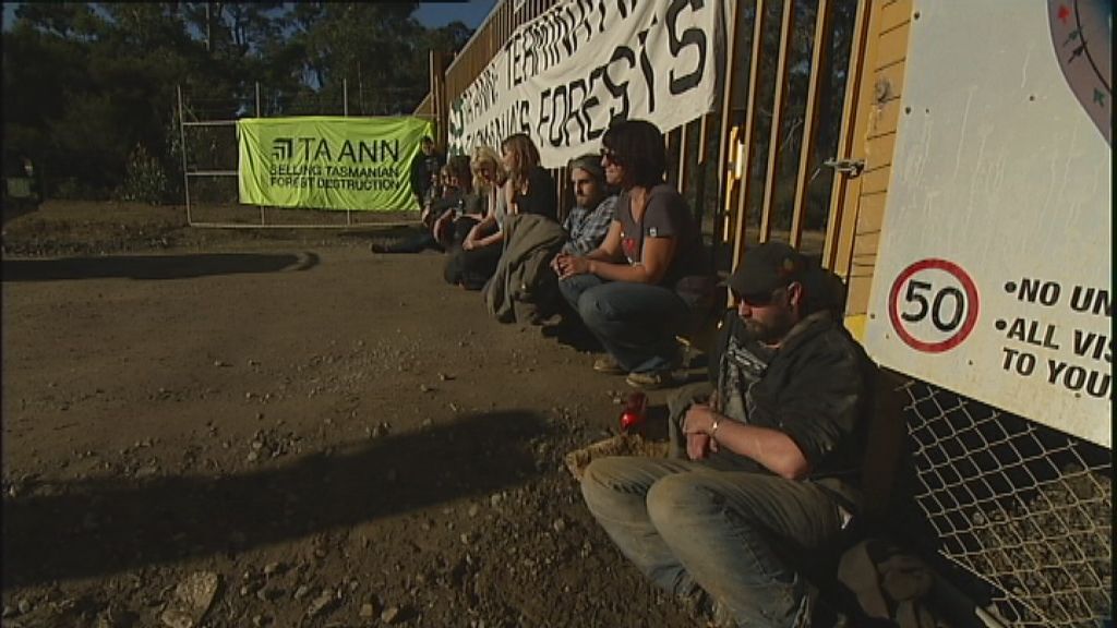 Forest protests in the southwest - ABC News