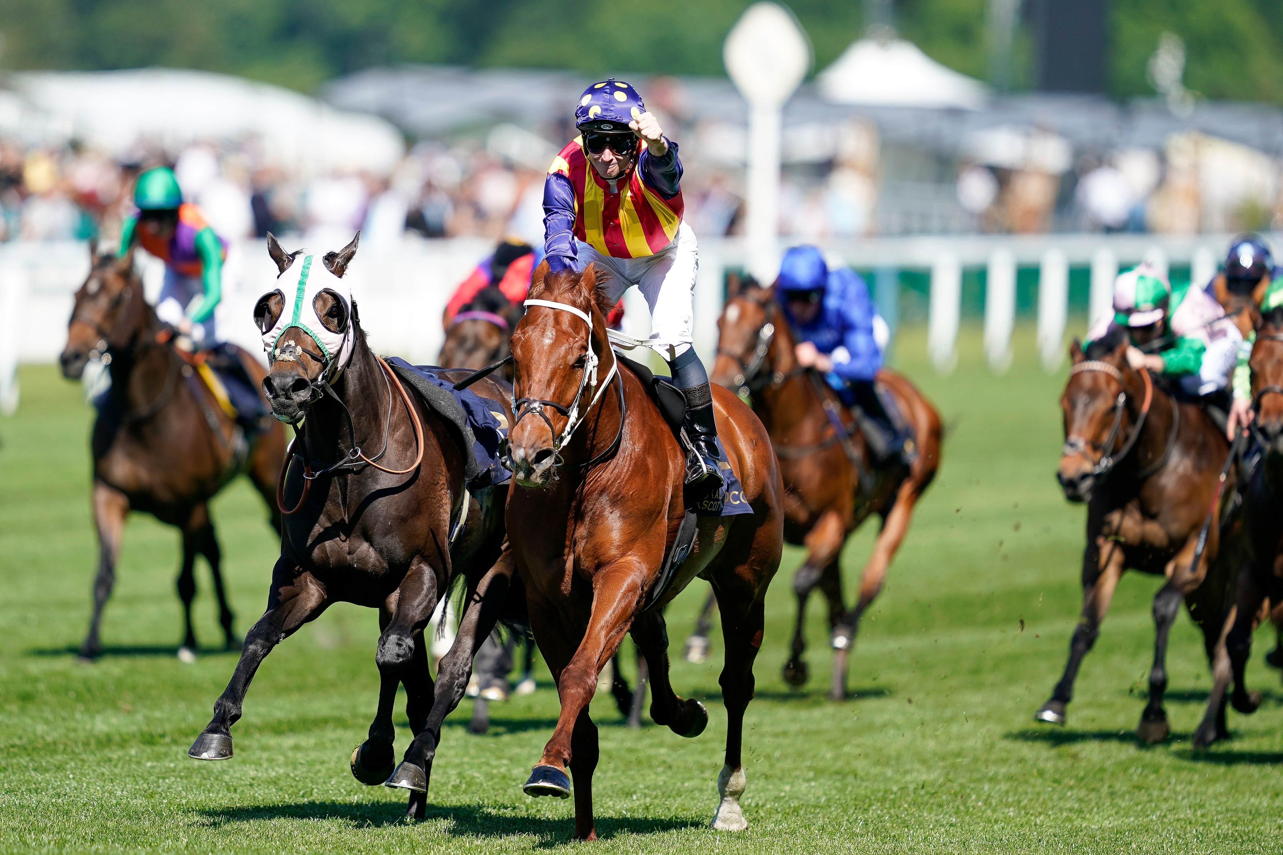 Nature Strip beats top field in King's Stand Stakes at Royal Ascot for ...