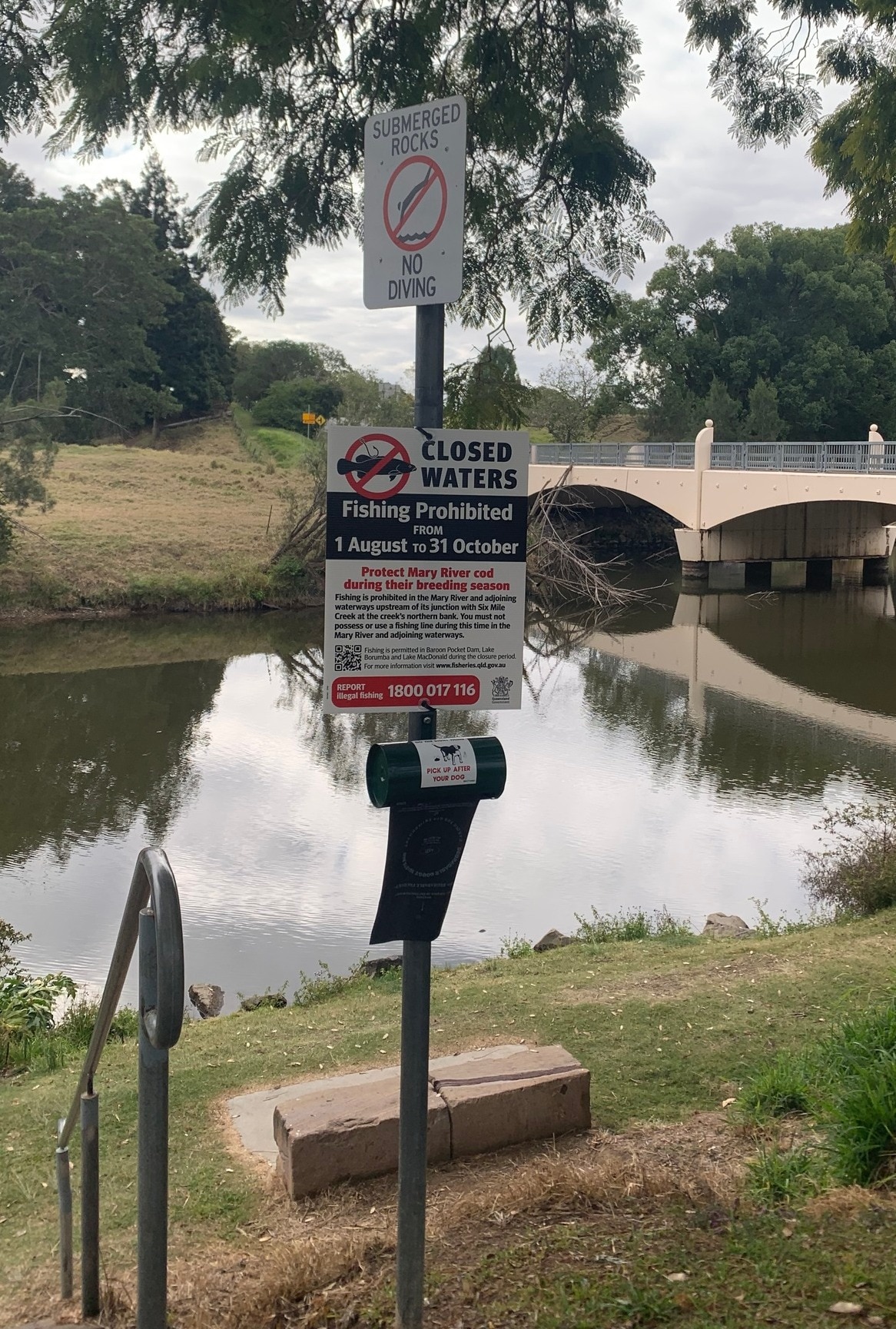 Fishers fined for ignoring Mary River bans during endangered cod ...