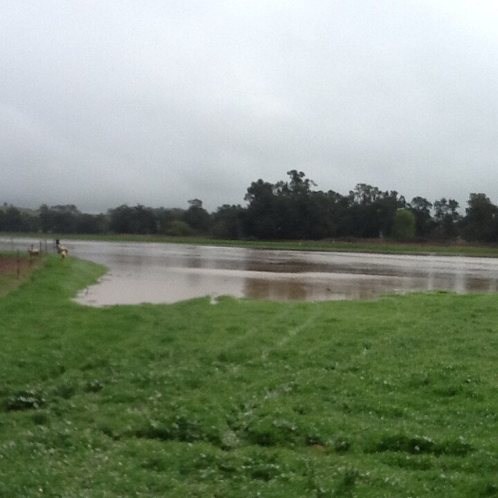 Farmers wake up to unexpected flooding in central west New South Wales ...