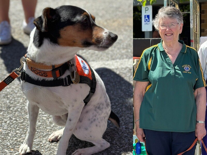 Merlin the Adelaide-trained hearing dog & his 'soulmate' Adrienne - ABC ...