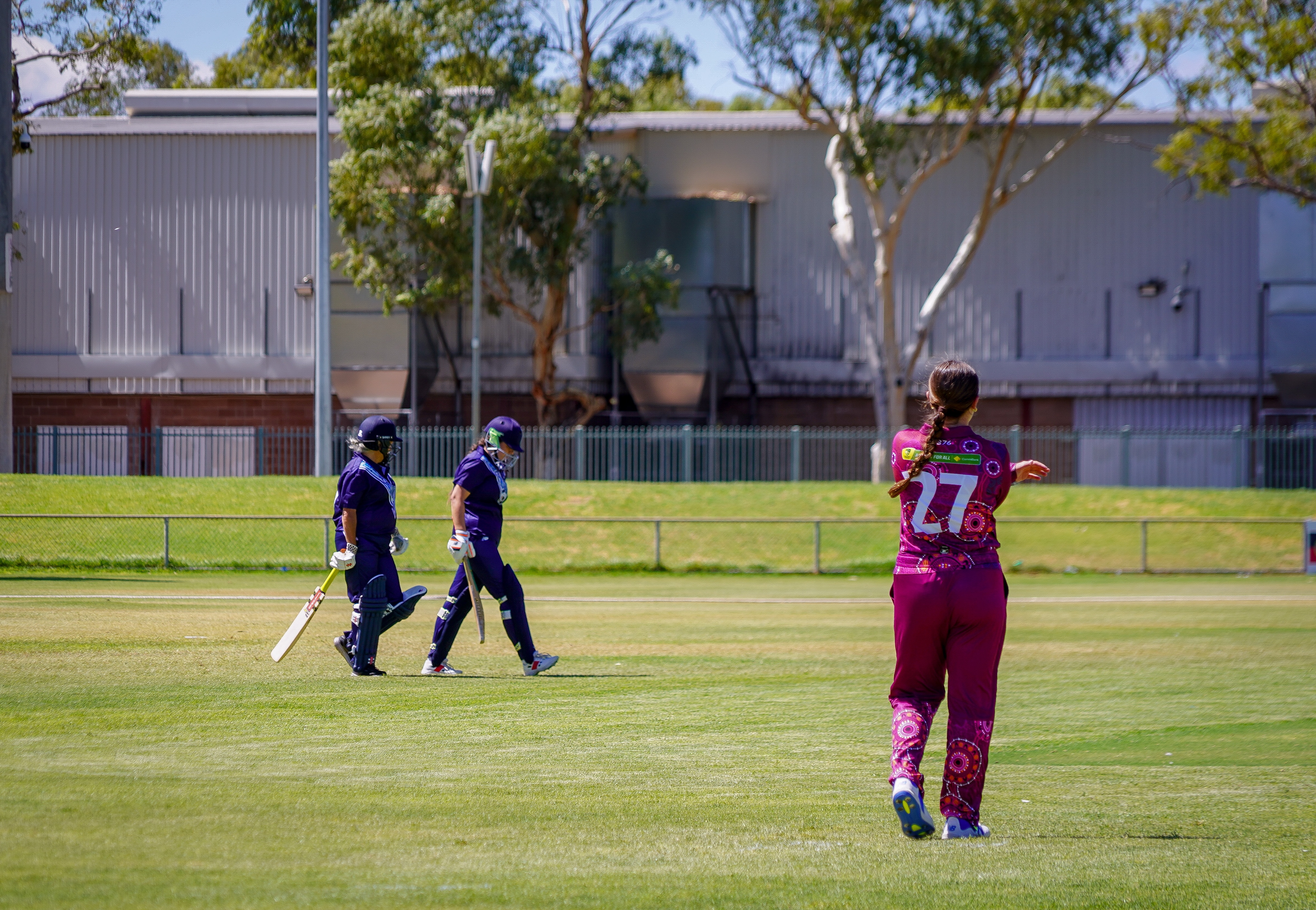 Cricket - Topic - ABC News