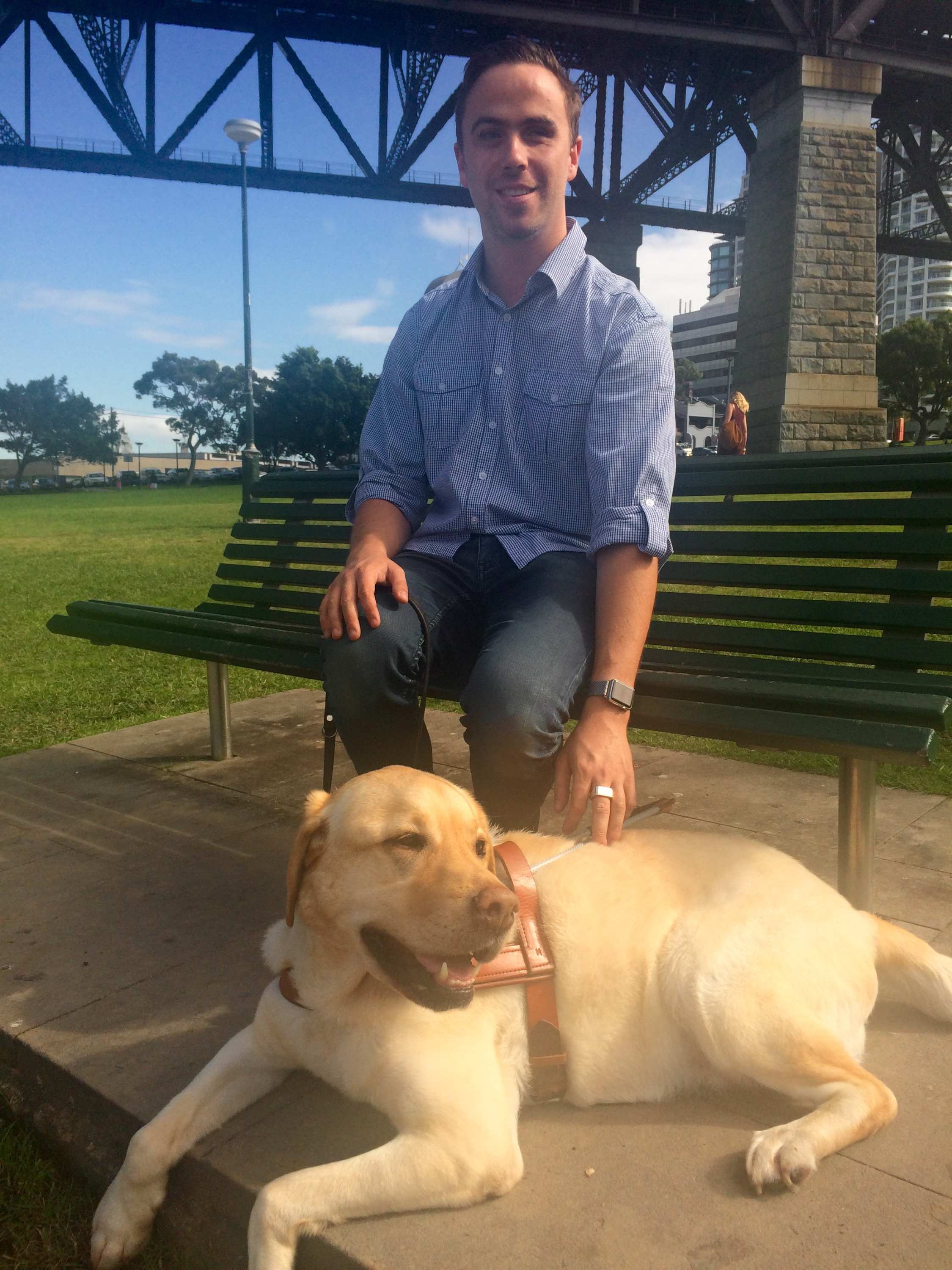 Guide Dogs warn of risks of distracting working animals in new Respect ...