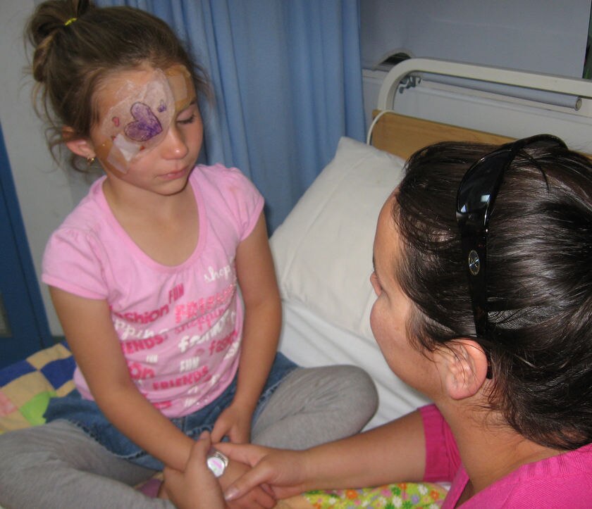 Magpie which attacked girl may be destroyed - ABC News