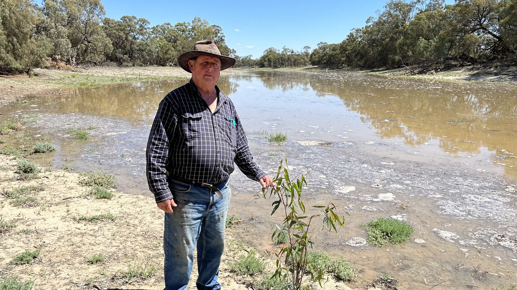 Environmental flows continue down the Great Darling Anabranch - ABC News