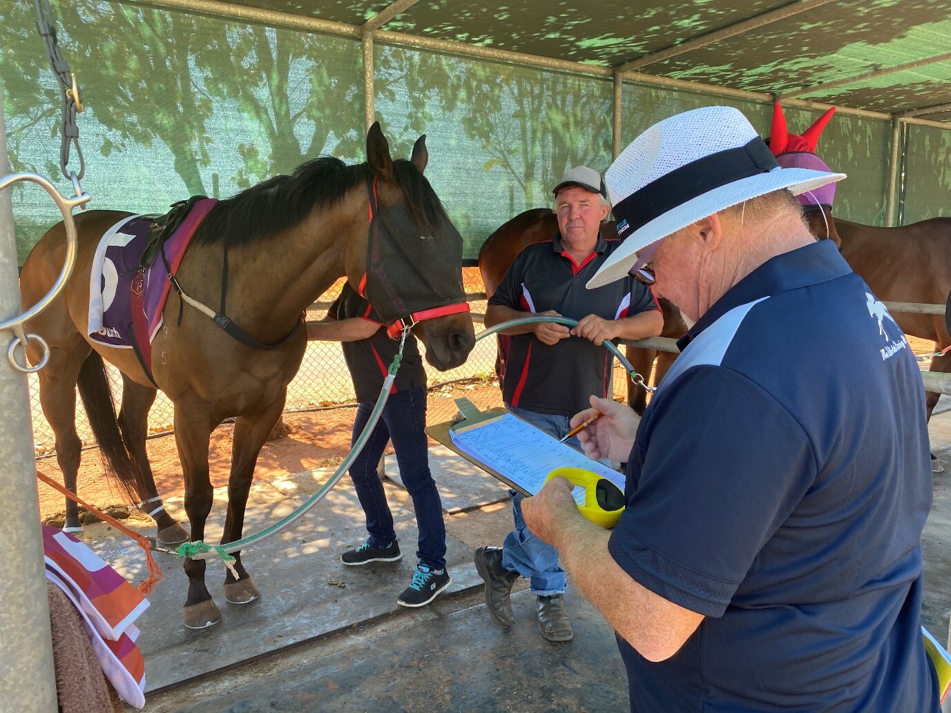 Racing stewards who verify horses' ID help prevent repeat of Fine ...