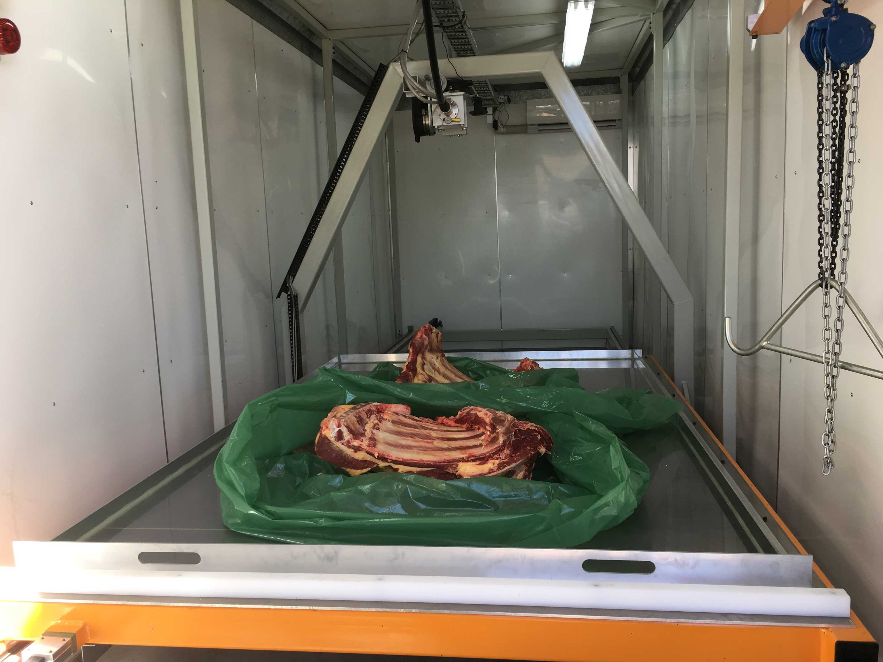 X-rays found to be accurate prediction of cattle carcase fat and lean ...