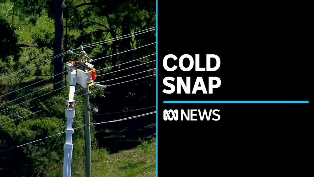 Cold snap whips up winds and wide spread blackouts - ABC News
