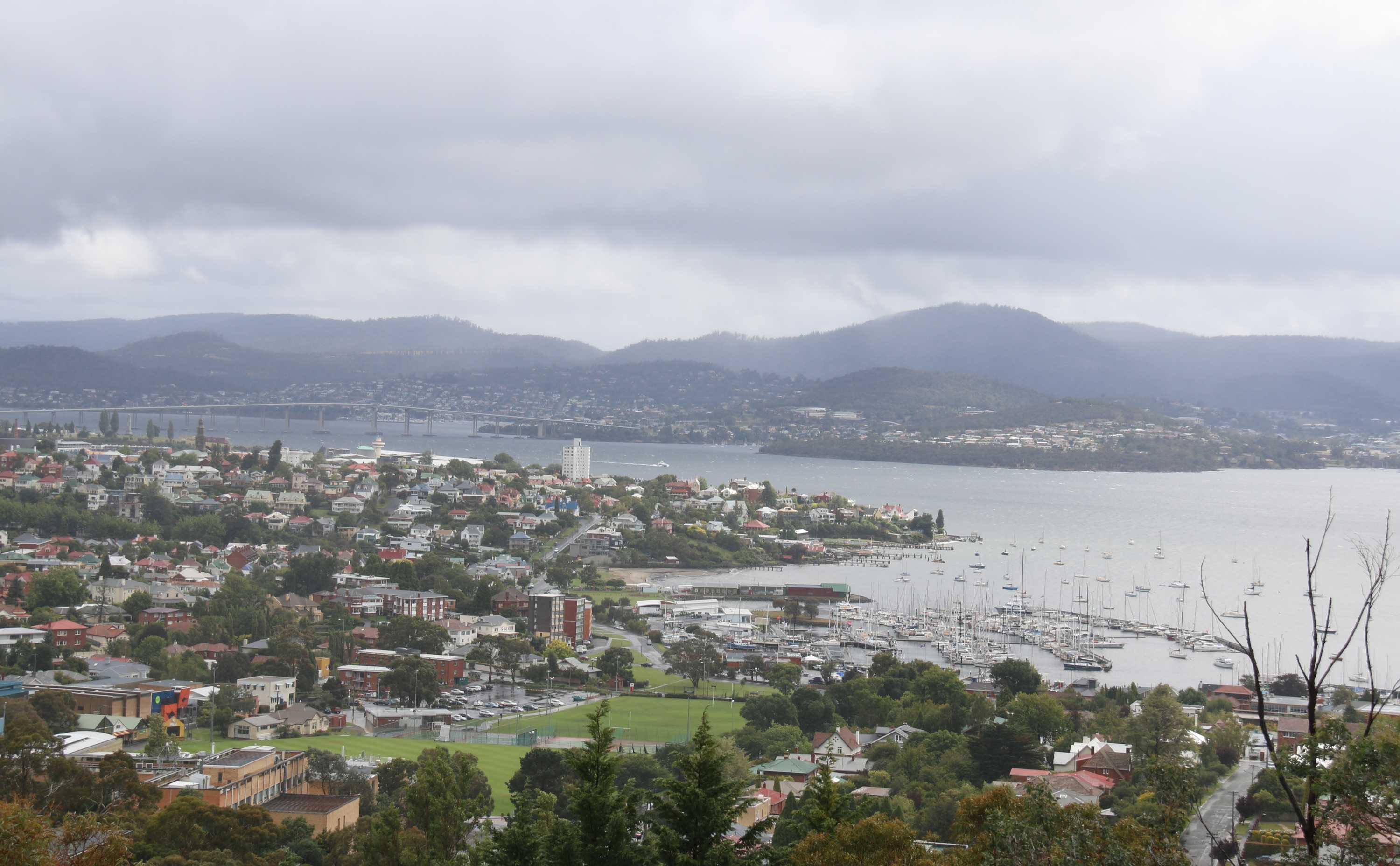 Even in the rain there is plenty to do in the garden says Peter Cundall ...