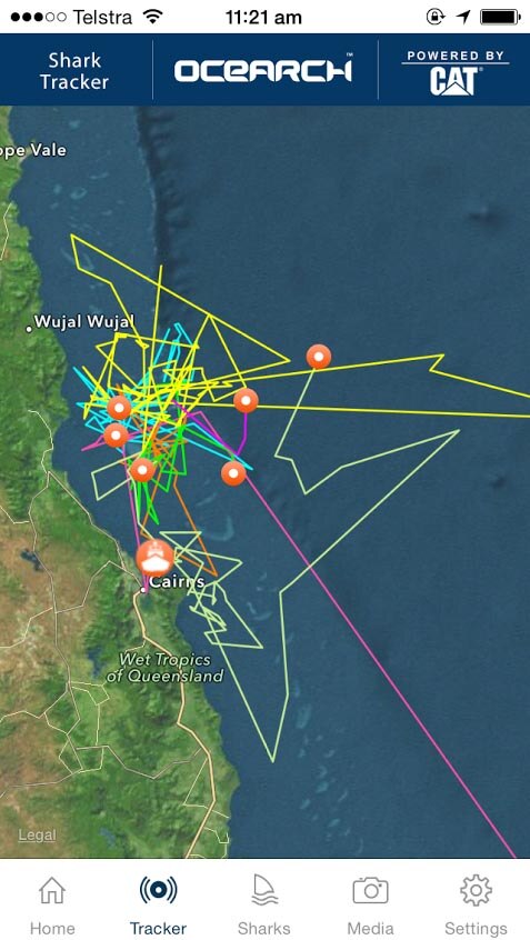 Shark research ship MV Ocearch docks in Darwin - ABC News