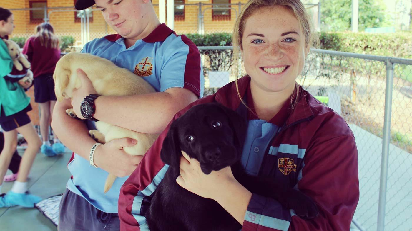 Guide Dogs - Behind The News