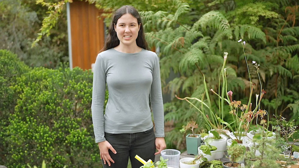 My Garden Path | Elisabeth Groves - Gardening Australia