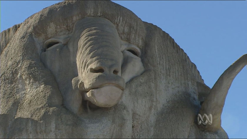 Big rams bring towns together for tourism on opposite sides of ...
