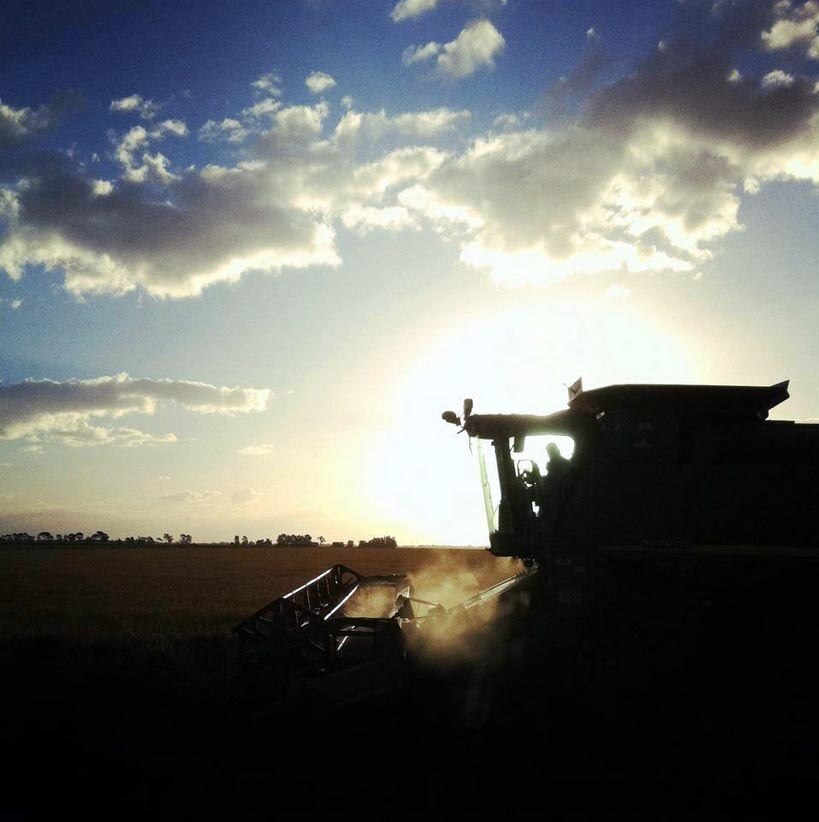 Fire warning as harvest heats up - ABC News