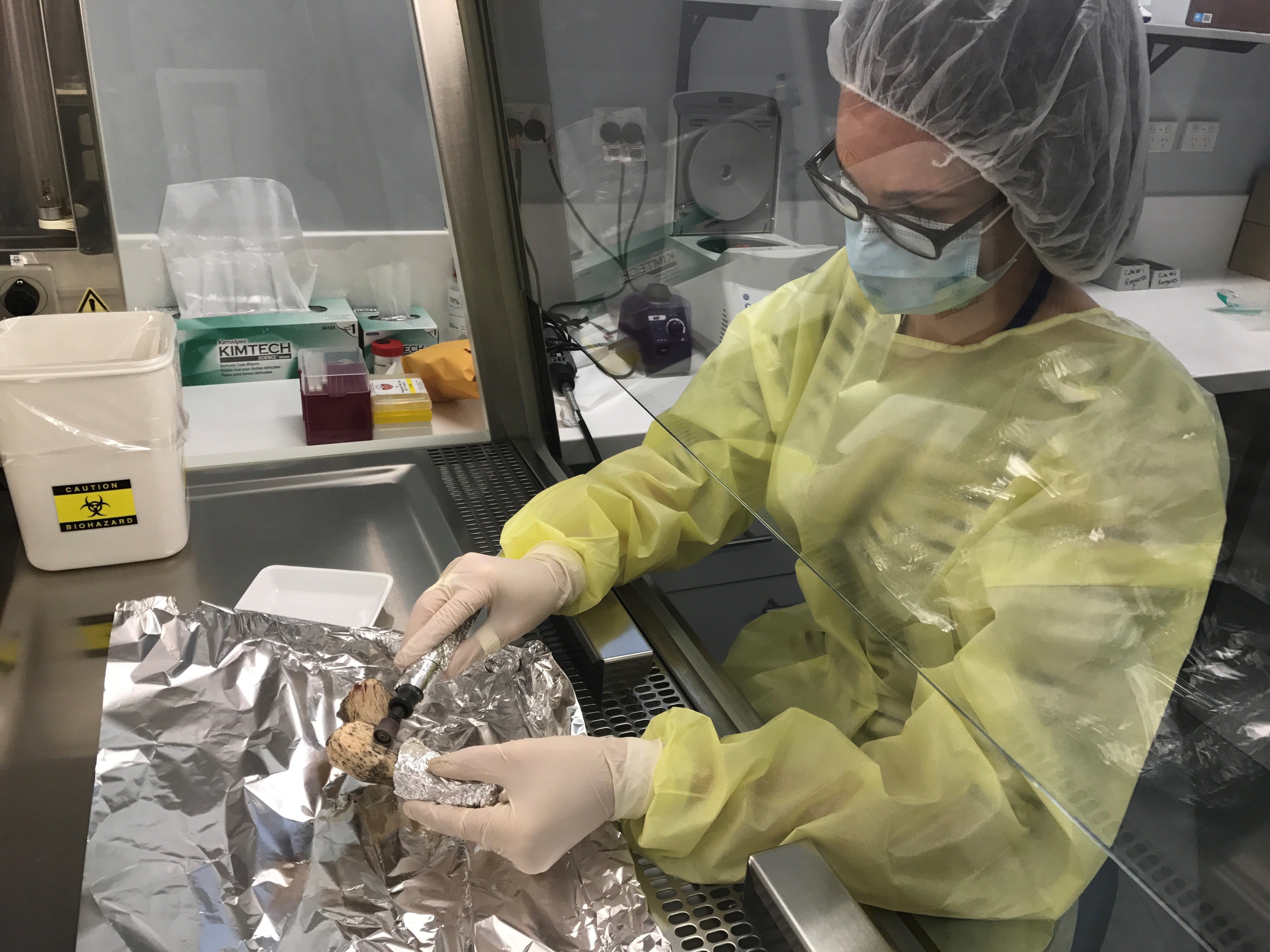 DNA database promises breakthroughs in missing person cold cases - ABC News