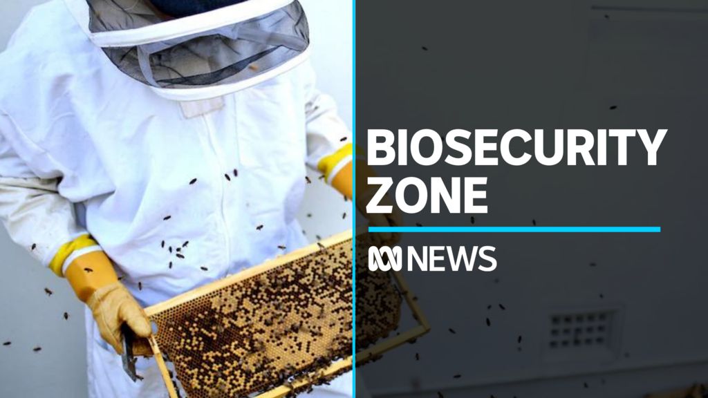 New biosecurity zone established at Bulahdelah to contain mite outbreak ...