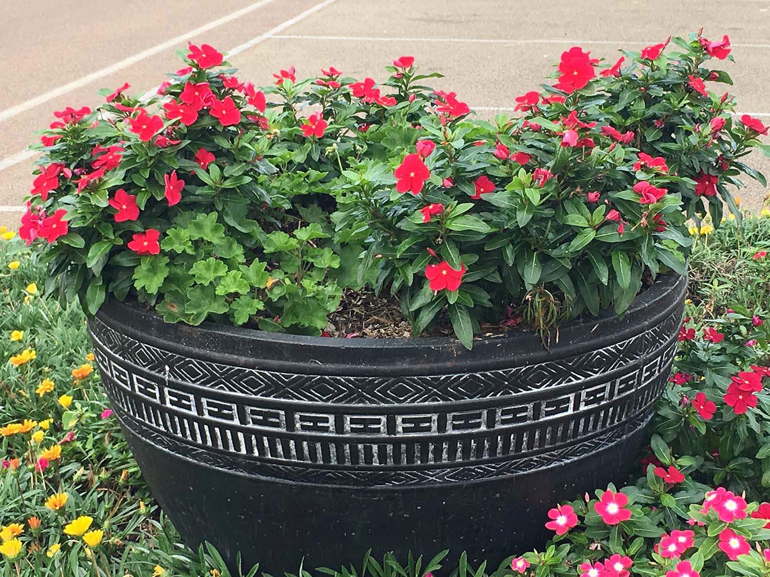 Ravenshoe cafe explosion survivors struggle to cope with memories - ABC ...