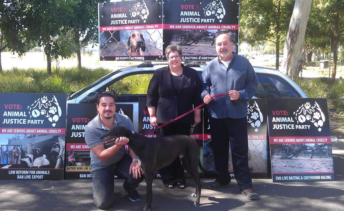 Final count in the NSW Upper House is declared - ABC Radio