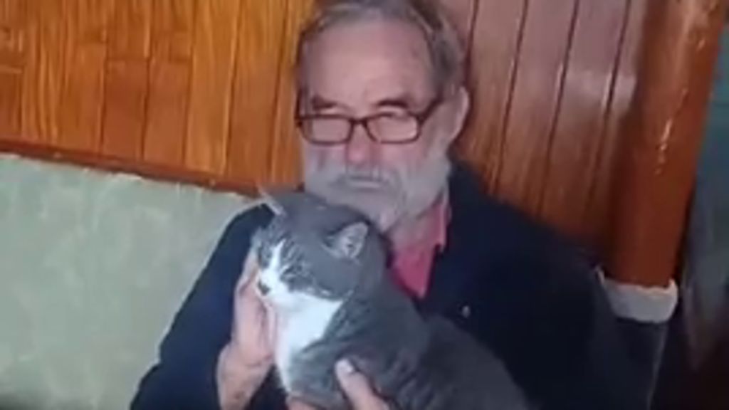 Oli the cat after days at sea - ABC News