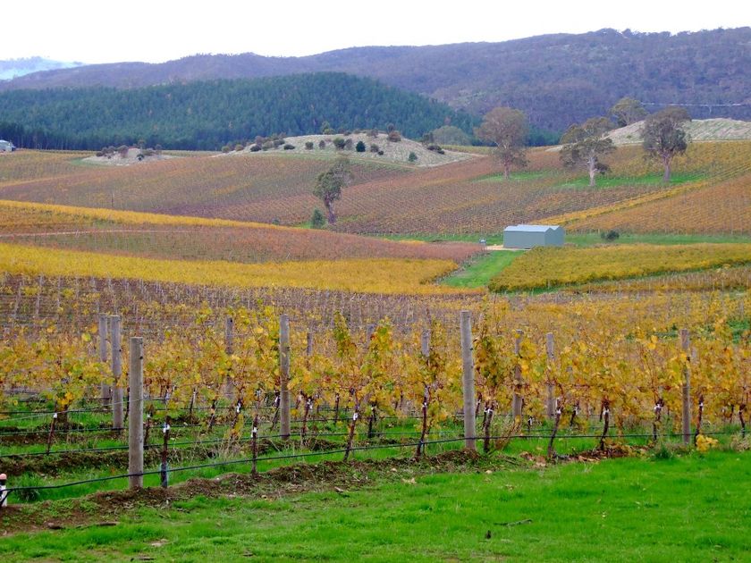 Thousands to need water licences for dams and bores in western Mount ...