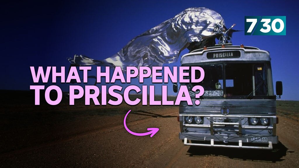 The search for Priscilla, Queen of the Desert - ABC News