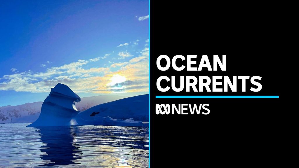 Landmark study projects 'dramatic' changes to Southern Ocean by 2050 ...