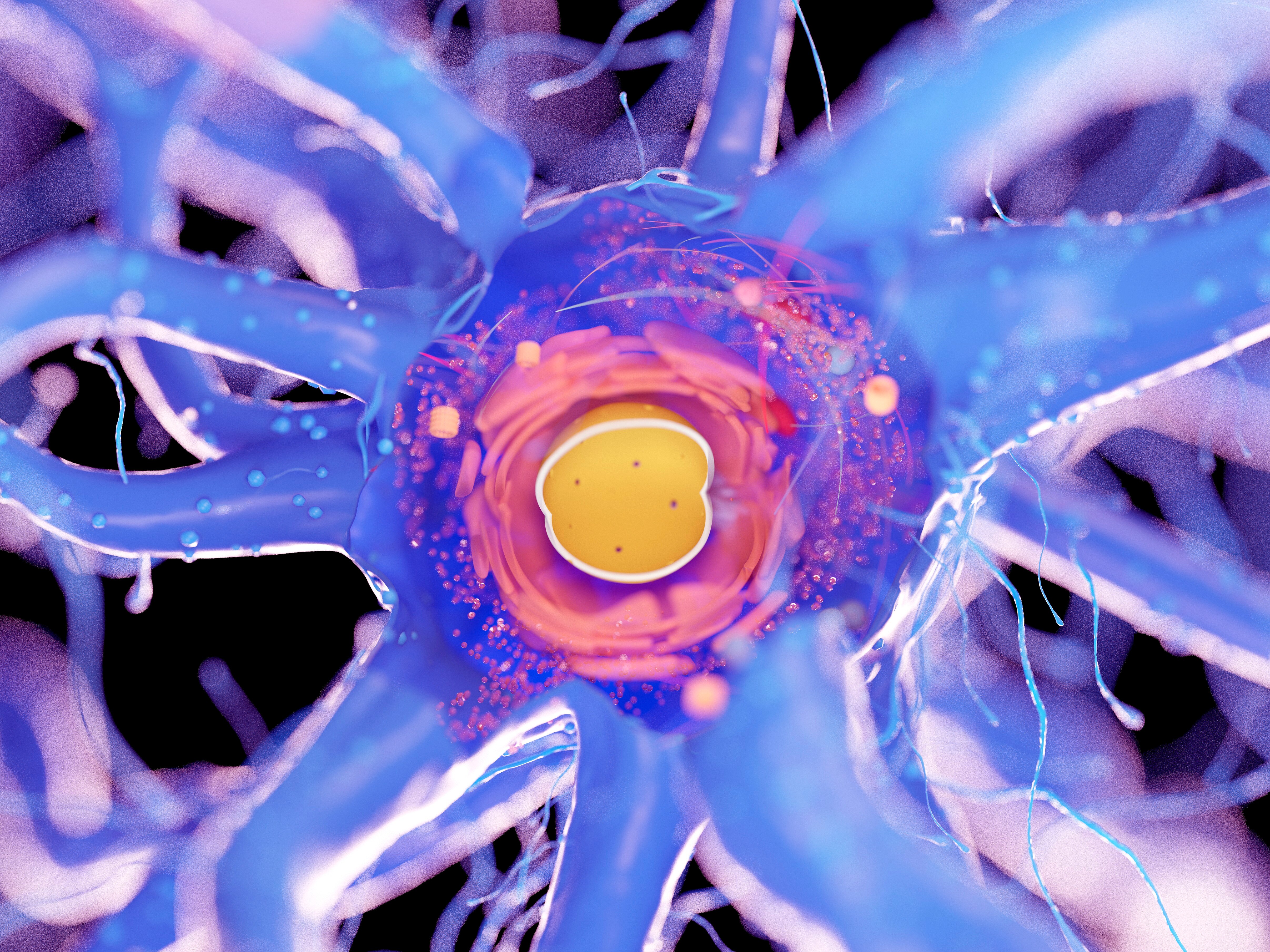 The Minefield with Waleed Aly and Scott Stephens - ABC listen