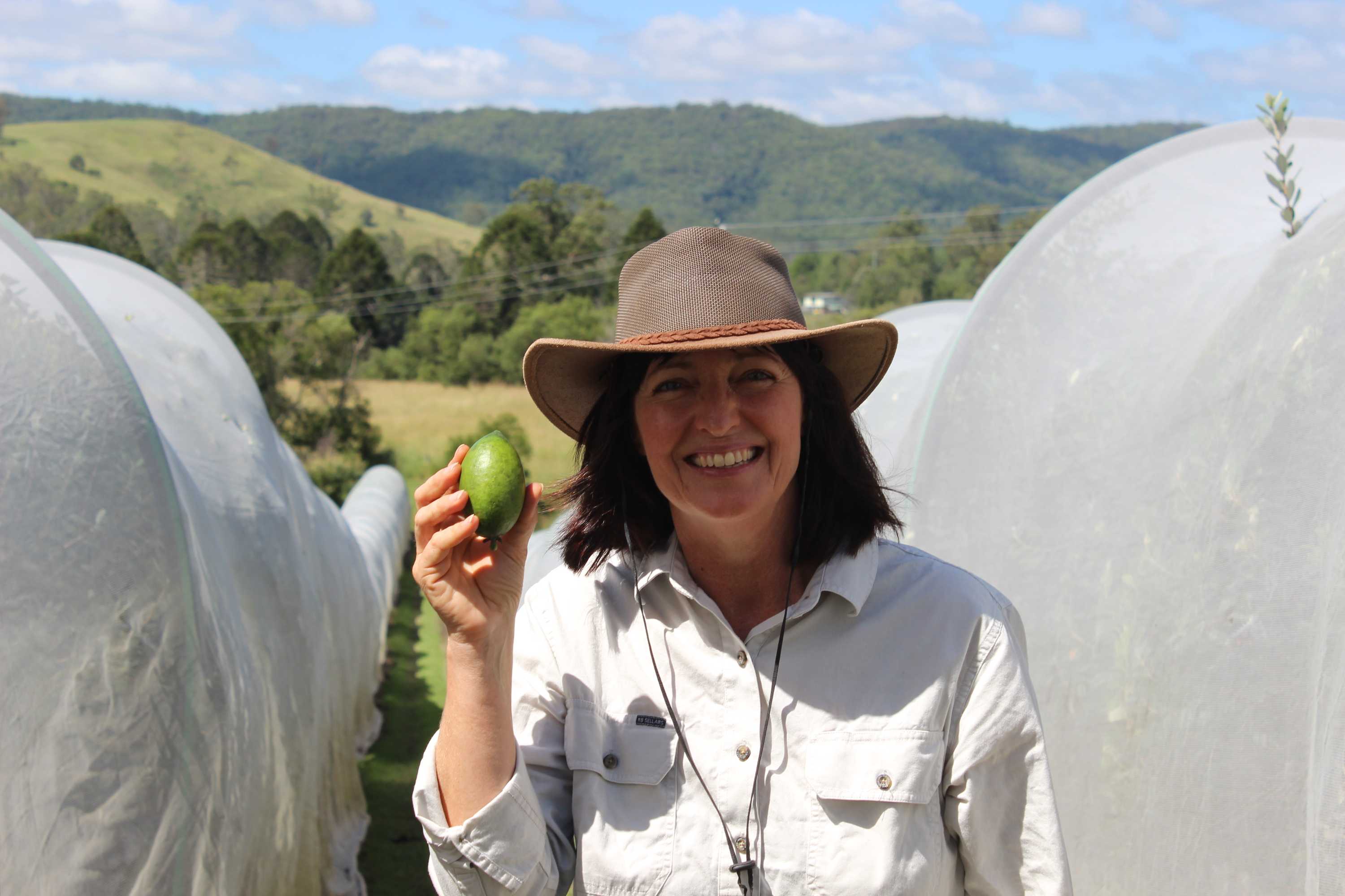 Kiwis celebrate feijoa season - ABC News
