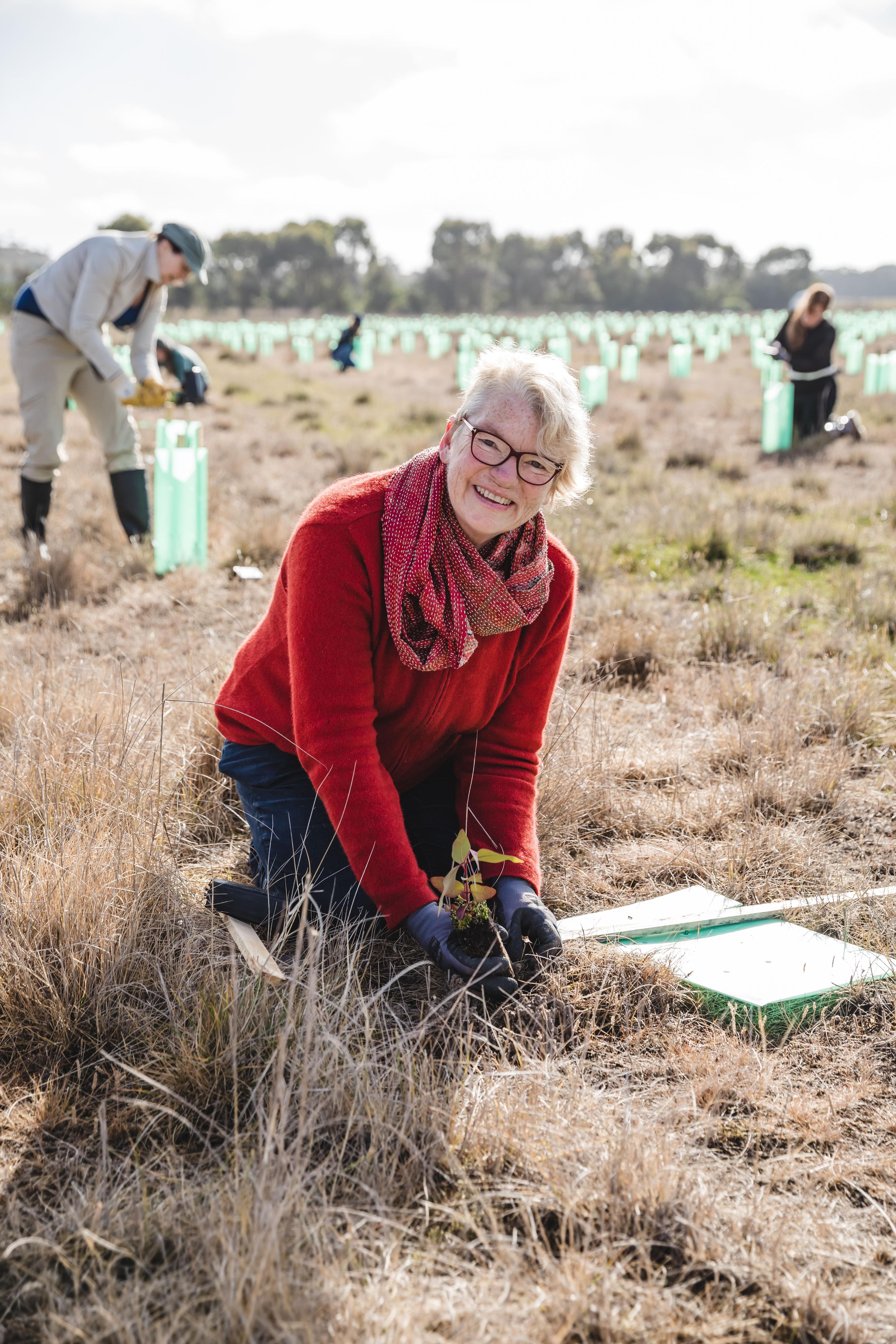 Janet Rice wants to change Tasmanian laws that stop loved ones ...