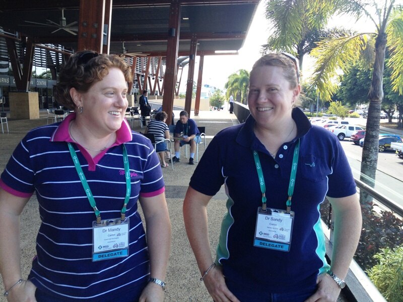 Twin sisters Sandy and Mandy Carlon forge own paths as cattle vets in ...